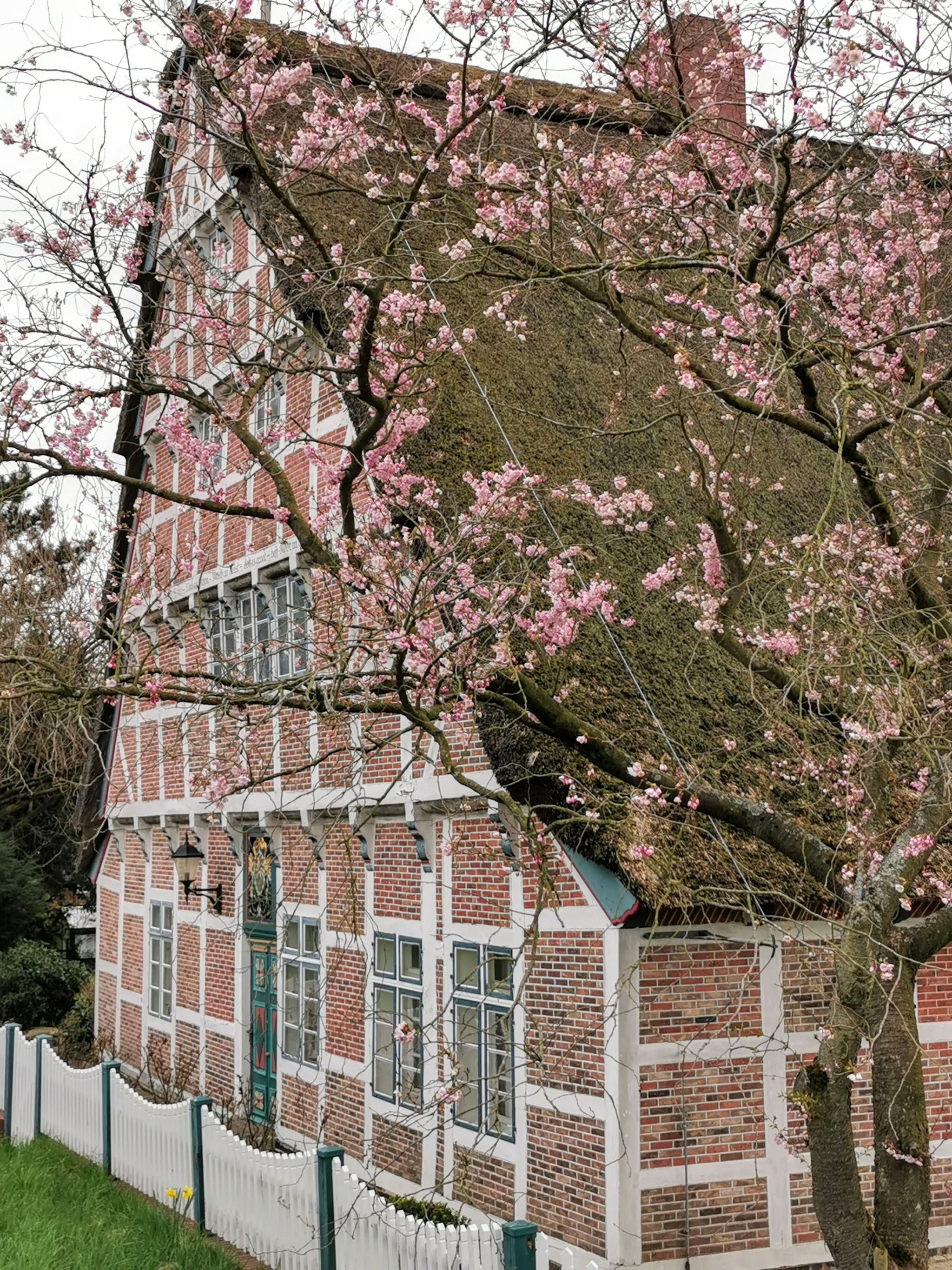 Glückstadt und Altes Land - Restaurant Deutschlandreise